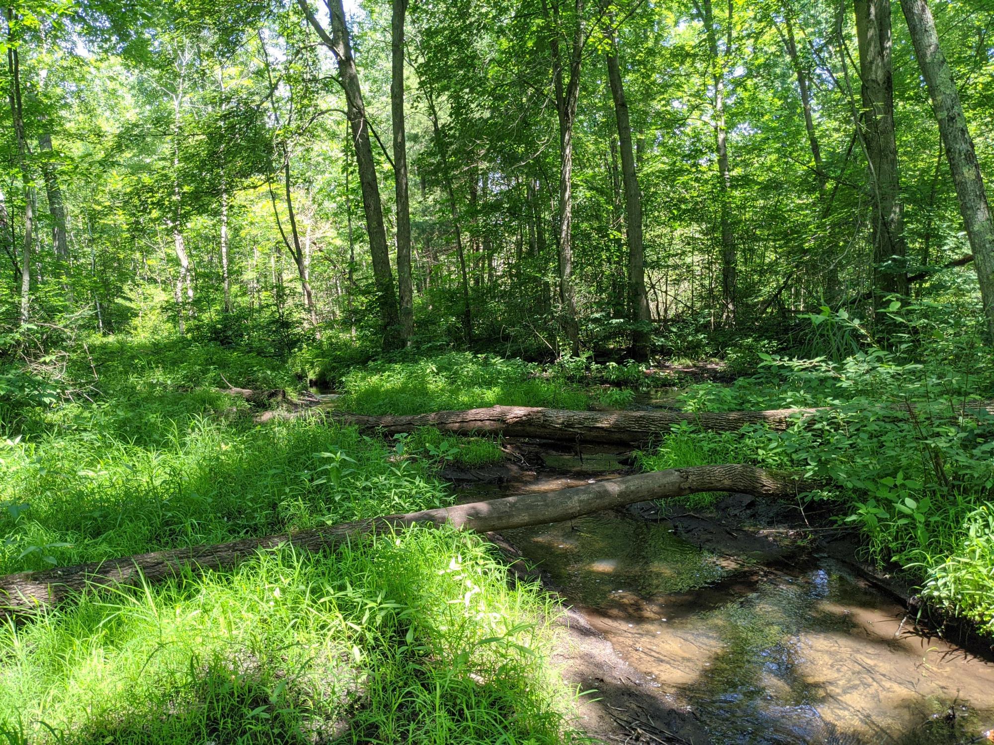 Conservation Impact Bond - Long Point Walsingham Forest Backgrounder ...
