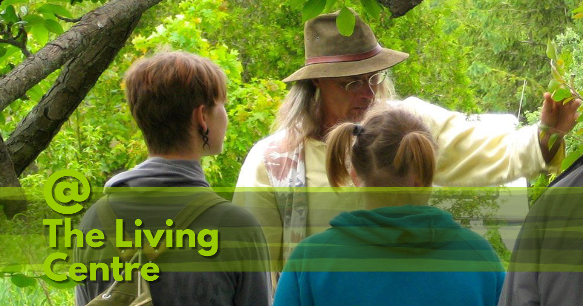 Ethical Foraging Herb Walks | Carolinian Canada